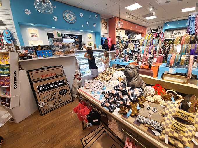 A pet lover's paradise nestled between fashion outlets. Because after treating yourself, Fido deserves something special too—preferably something he won't immediately destroy.