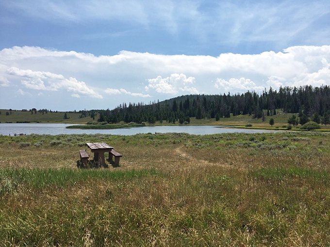 This rustic picnic table sits like an invitation to lunch with a view that puts five-star restaurants to shame.