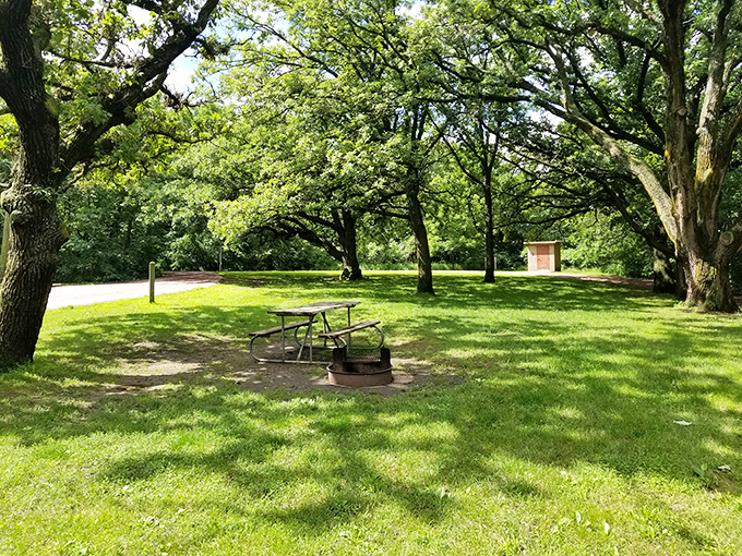 Shaded picnic spots where your potato salad stays cool and your stress levels drop even cooler.