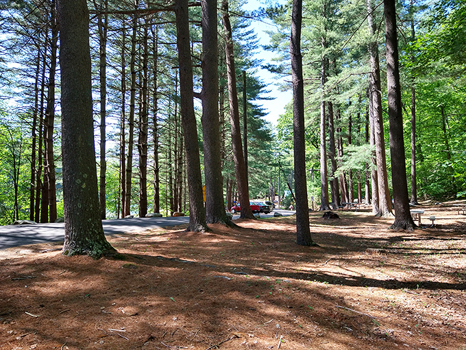 Waterside relaxation with rustic charm&mdash;like someone designed an outdoor living room with Mother Nature as the decorator.