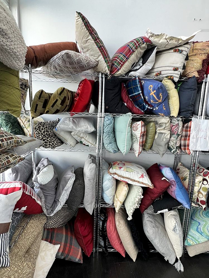 The pillow section: where your couch makeover begins and your wallet breathes a sigh of relief.