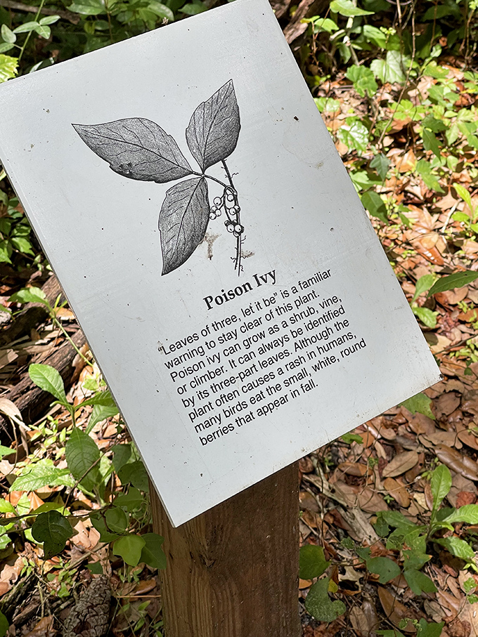 Nature's warning label: Poison Ivy identification that reminds us some of Florida's residents prefer not to be touched.