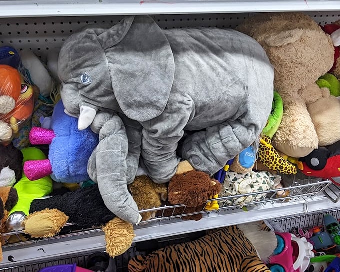 The stuffed animal section: where a giant elephant reigns over a kingdom of plush subjects. Someone's childhood companion awaits a second chance at being loved.