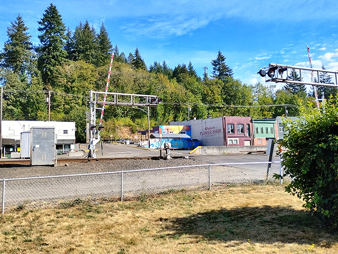 Downtown Winlock offers more than just egg-themed attractions, with charming storefronts lining the streets near the railroad that once shipped millions of eggs.
