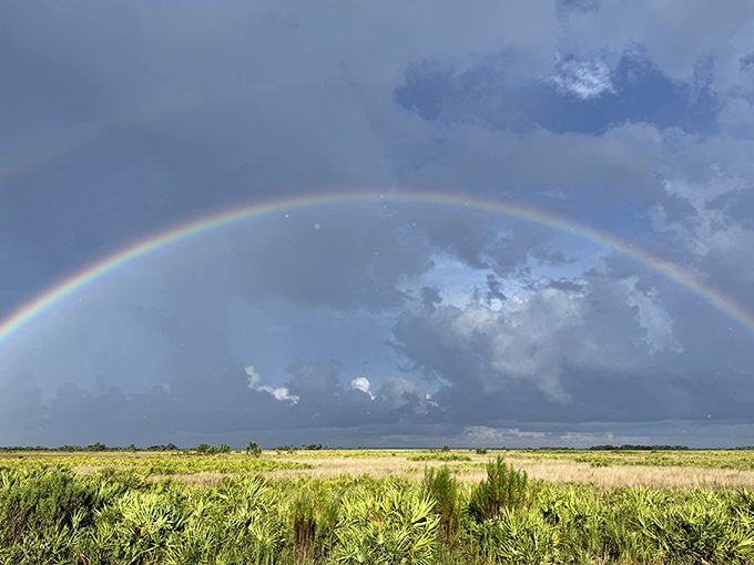 A perfect rainbow arcs over the grasslands &ndash; nature showing off its full color palette after a refreshing Florida shower.