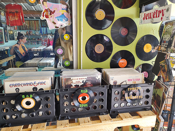 Vinyl records organized by genre&mdash;because discovering Earth, Wind & Fire albums in person beats scrolling through a playlist any day of the week.