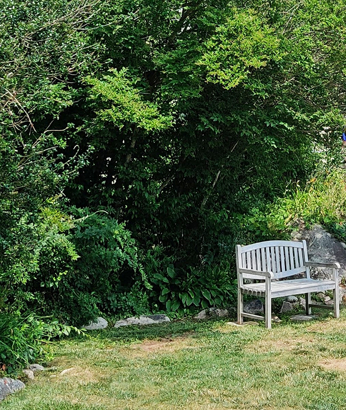 A quiet bench nestled among lush greenery offers the perfect spot to contemplate life's big questions, like "Why don't I live in a castle?"