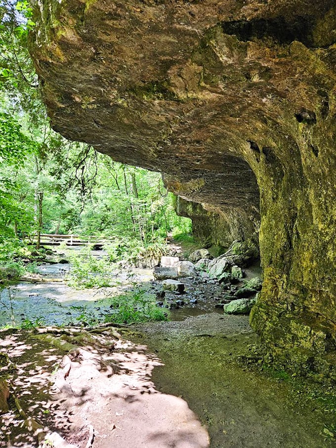 This ancient rock shelter has been hosting visitors since the Ice Age. Talk about hospitality with staying power!