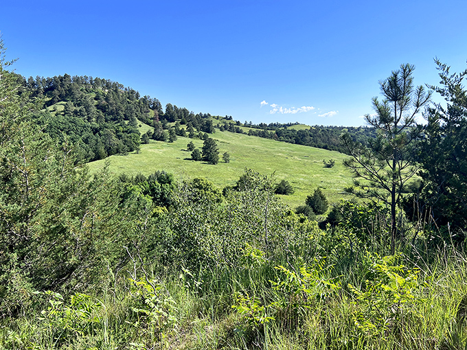 Rolling hills that would make a Windows screensaver jealous &ndash; Nebraska's Sandhills stretch toward forever.