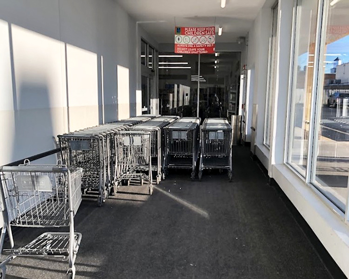 Shopping carts await their moment of glory, soon to be filled with items you never knew you desperately needed.