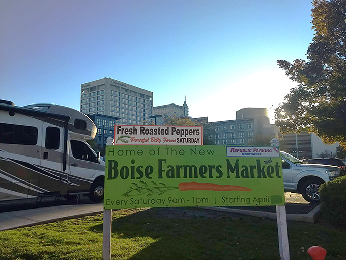 Bread that makes you question your life choices. Why did I ever think those squishy supermarket loaves were acceptable? This is carb enlightenment. 