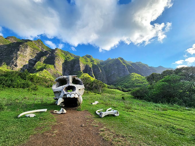 "Excuse me, coming through!" This skull prop from Kong: Skull Island offers hikers a jaw-dropping photo op amid Kahana's verdant landscape.