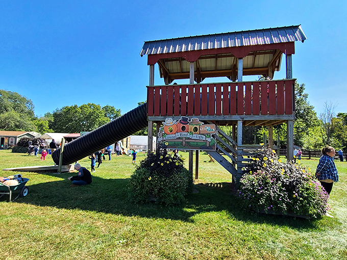 The playground slide adds old-fashioned fun to the farm experience&mdash;no batteries or Wi-Fi required.