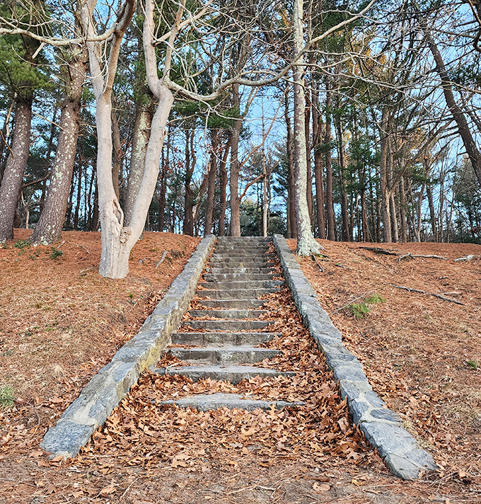 Stairway to tranquility: These weathered stone steps have carried generations of visitors into Goddard's pine-scented woodland retreats.