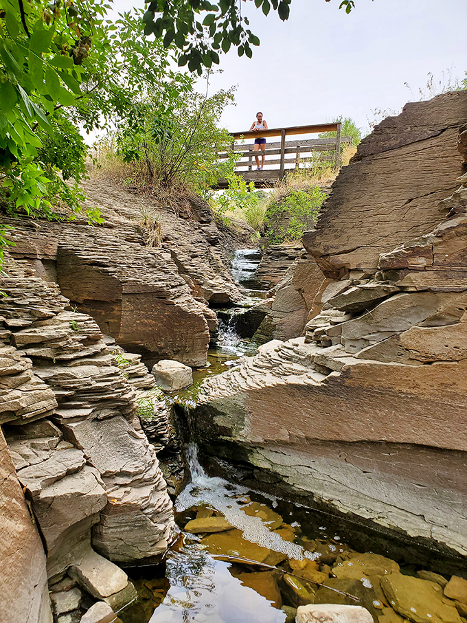 A mini-canyon carved by persistent waters. This rocky channel showcases millions of years of patient erosion, with a viewing platform perfectly positioned.