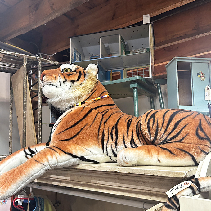 This magnificent tiger didn't come from the wild&mdash;but might be the wildest find in your home collection!