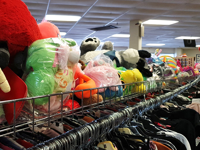 Plush paradise! These colorful critters wait patiently above the clothing racks, hoping for new homes and fresh hugs.