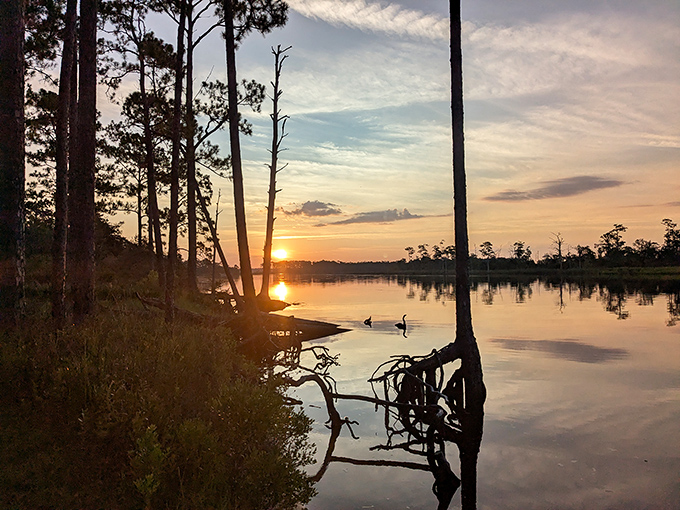 Florida sunsets: where the sky puts on a free light show that makes even the most expensive fireworks display look like a sparkler on a birthday cake.