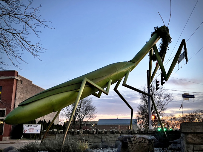 As dusk settles over Kokomo, KokoMantis takes on an almost otherworldly presence against the dramatic Indiana sky.
