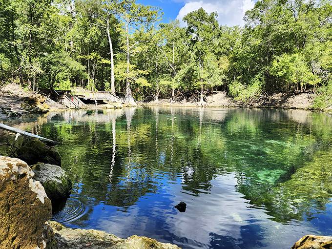 Mirror-like waters reflecting the surrounding forest &ndash; nature's version of the selfie, and infinitely more flattering.