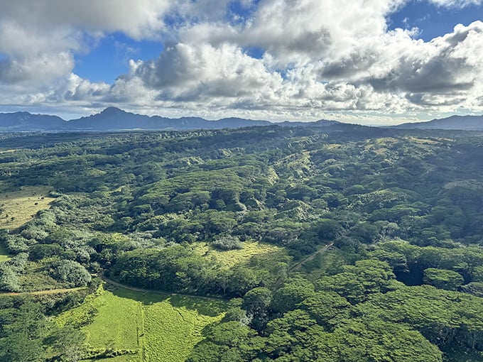 Fifty shades of green doesn't begin to describe this panorama&mdash;Mother Nature's masterclass in verdant variety.