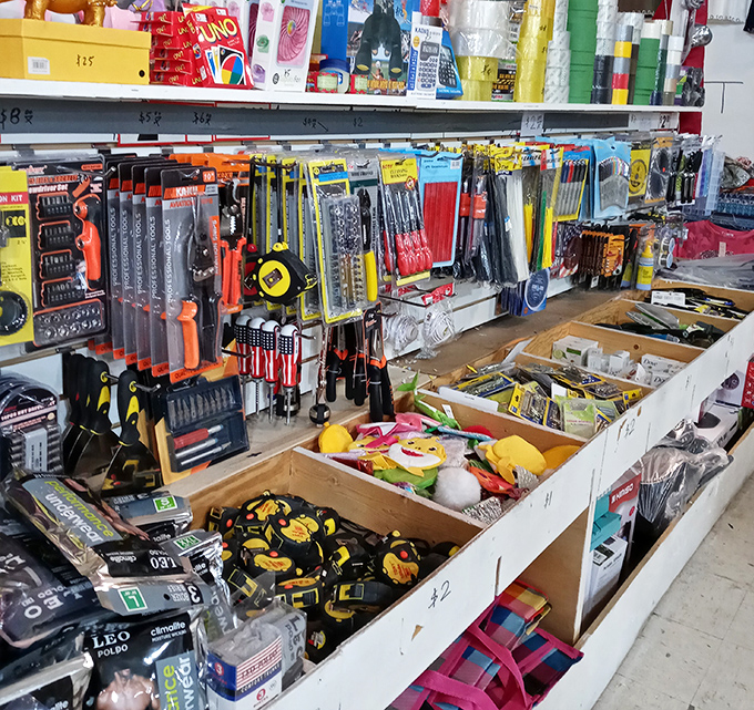Tool paradise for DIY dreamers&mdash;where socket sets, screwdrivers, and measuring tapes await their chance to fix everything in your home.