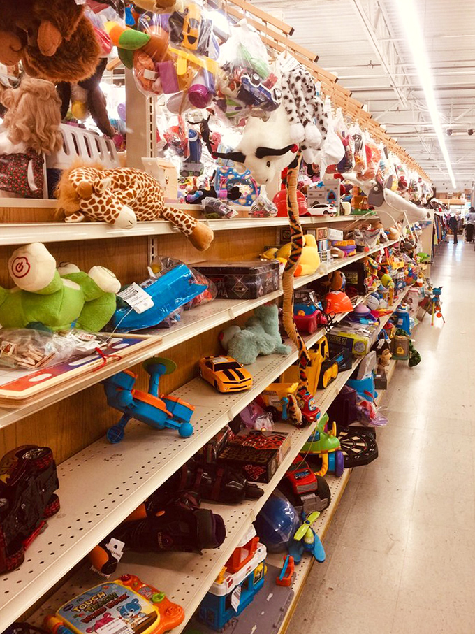 Stuffed animals galore! This toy section could stock a carnival prize booth, with giraffes and turtles waiting for their second chance at being loved.