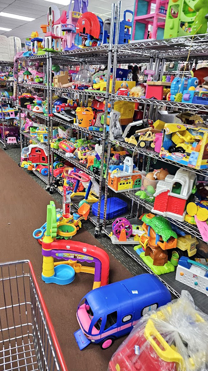 Toy nirvana! A plastic rainbow of childhood dreams where yesterday's playthings become tomorrow's treasures without today's retail markup.