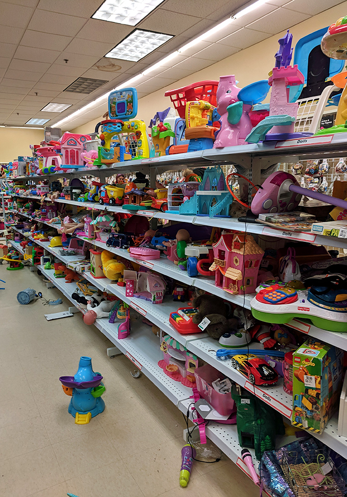 Toy paradise or plastic purgatory? Either way, these shelves hold childhood memories waiting to be made at fraction-of-retail prices.