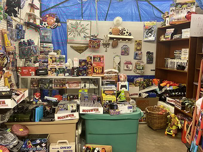 Gaming paradise for the digitally nostalgic! Yesterday's Xbox treasures at today's bargain prices prove one generation's outdated tech is another's collectible.