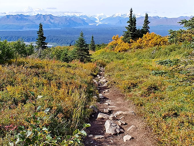 Fall's golden touch transforms this alpine trail into a yellow brick road to wilderness wonders. Dorothy never had views like these in Oz.