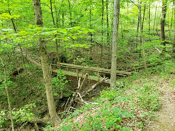 The road less traveled sometimes has white markers and leads to camping spots that feel like they were reserved just for you.
