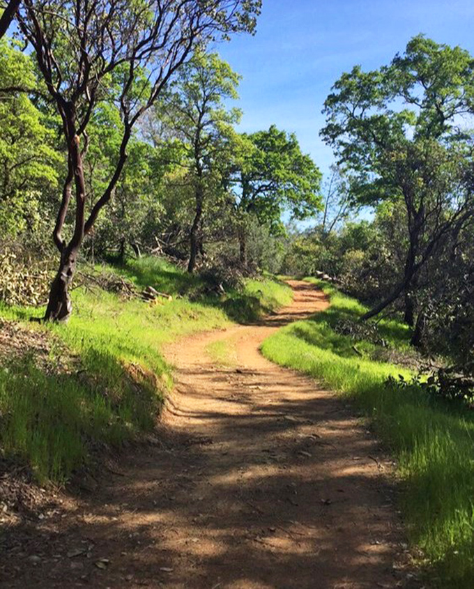 Spring transforms these trails into green corridors that would make any treadmill jealous of the scenery.
