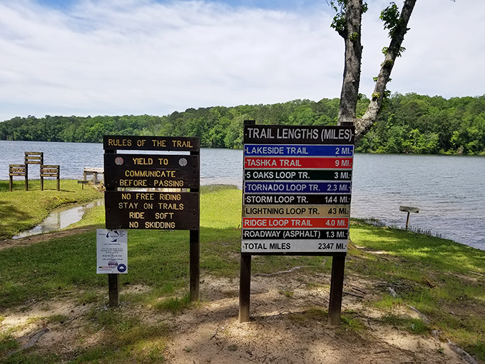 Trail options for every ambition level. From the gentle "Lakeside" to the more challenging "Tashka," these paths promise adventures measured in miles and memories.