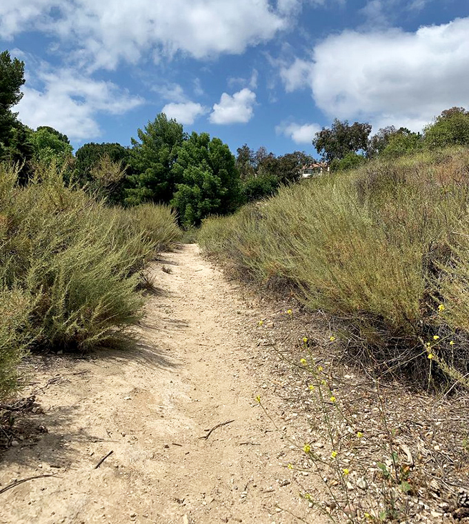 A trail that promises adventure with every turn, where the destination matters less than the journey through California's coastal chaparral.