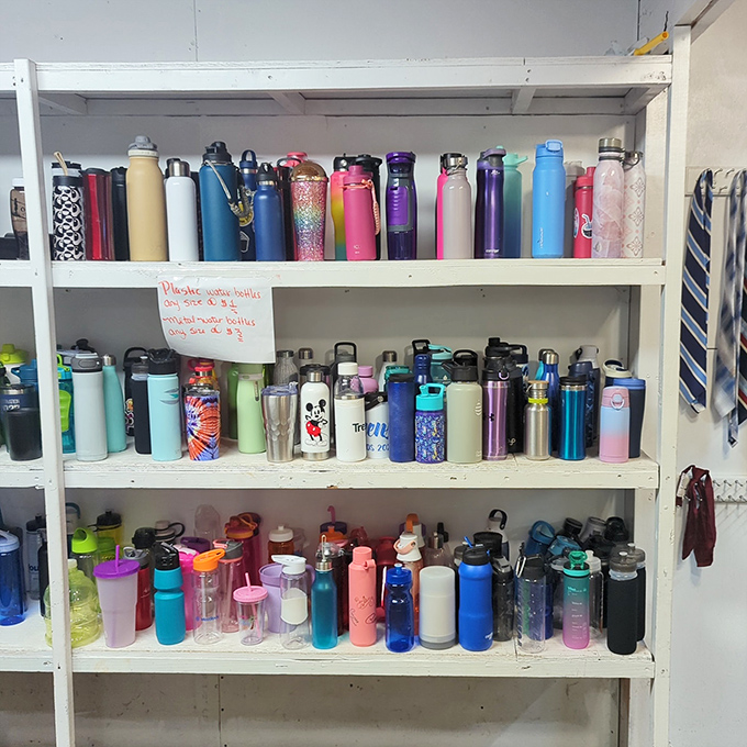 A rainbow regiment of hydration vessels standing at attention. Your next conversation piece might be hiding among these colorful containers.