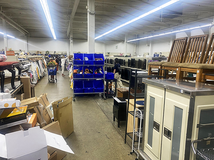 The organized chaos of thrift store magic&mdash;where one shopper's "what is that thing?" becomes another's "I've been looking everywhere for this!"