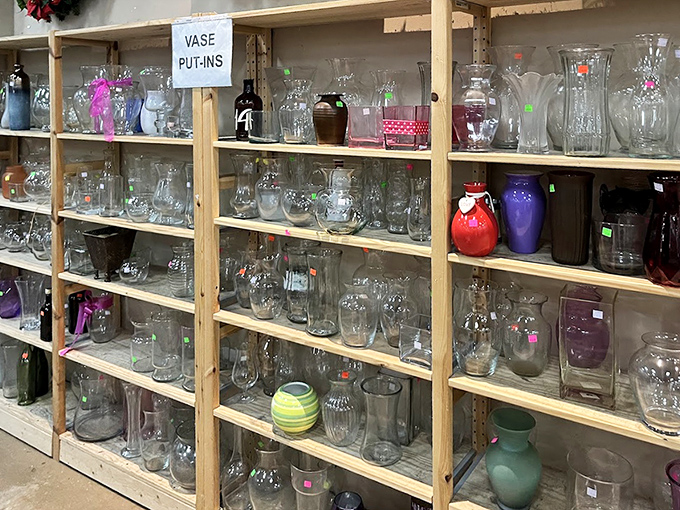 A glass menagerie of vases awaits new blooms. One person's wedding centerpiece collection becomes another's botanical display opportunity.