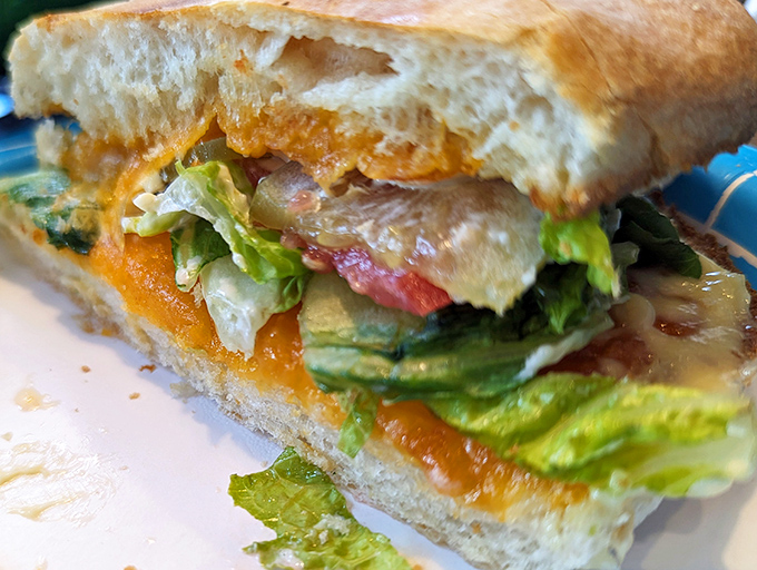 A sandwich that doesn't need fancy frills to make its point—just fresh ingredients speaking volumes between two perfectly baked slices.