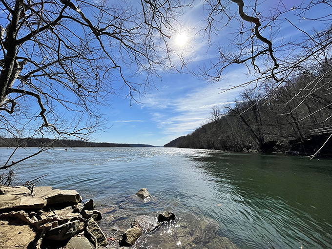 Sunlight dances across the water while bare branches reach skyward. Winter at the park offers a different kind of magic &ndash; serene and contemplative.