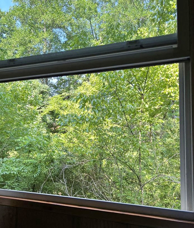 Nature's high-definition display streams live through these windows. No buffering, no commercials, just pure Kentucky splendor at 10 miles per hour.