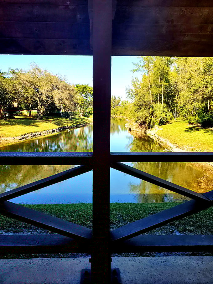 The bridge frames the landscape like a living painting, turning an ordinary pond view into something worthy of your phone's lock screen. 
