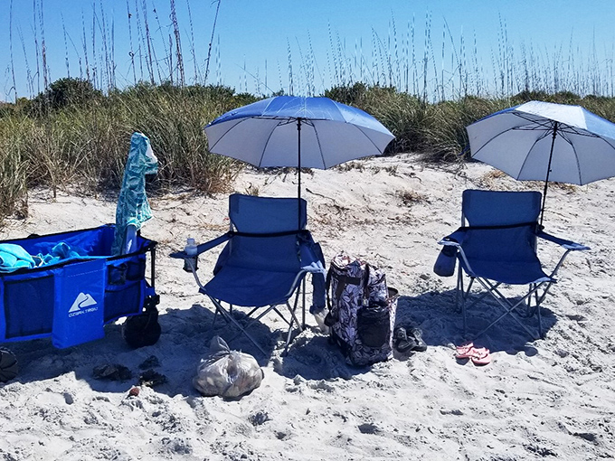 Beach headquarters, established perfectly. These sun-smart visitors have mastered the art of comfortable shoreline lounging with minimal luggage maximal enjoyment.