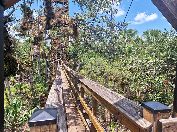 The canopy walkway suspends you between earth and sky, proving that sometimes the best way to appreciate nature is from 25 feet up.
