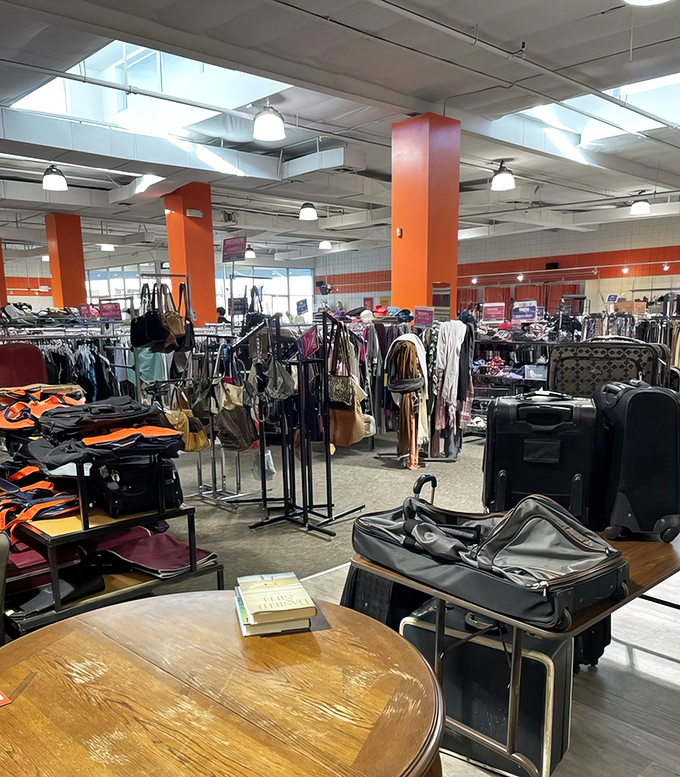 Thrift store tetris: navigating between vintage luggage, designer handbags, and that wooden table that's calling your name from across the room.