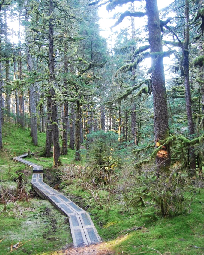 Nature's boardwalk: This wooden path through Kodiak's emerald forest feels like walking through the opening sequence of a fantasy film.