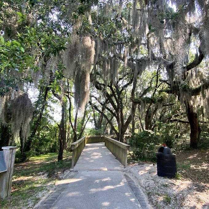 Spanish moss creates nature's own theater curtains along this wooden boardwalk, where every step reveals a new Lowcountry scene.