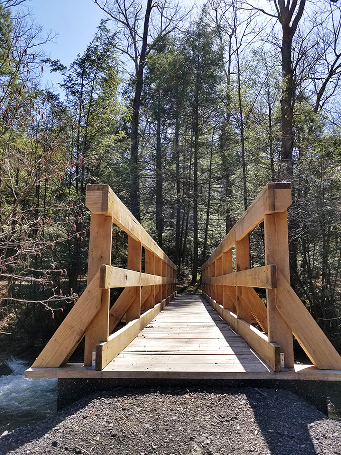 This wooden bridge isn't just crossing a stream&mdash;it's inviting you to step into the kind of tranquility that expensive meditation apps try to simulate.