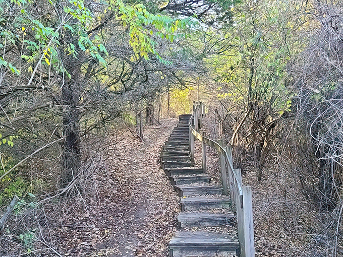 These rustic steps lead upward through autumn's golden embrace, nature's version of the stairway to heaven without the Led Zeppelin soundtrack.