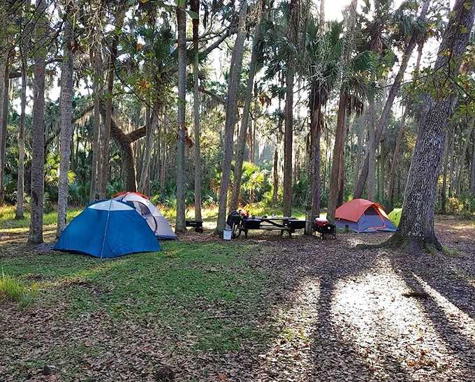 Tent camping on an island where your neighbors are probably more interested in acorns than your camp stove.